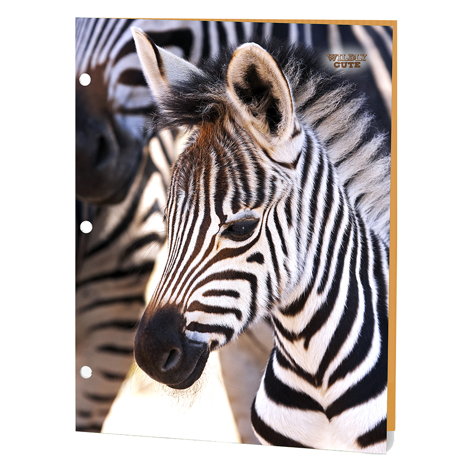 Wildly Cute Portfolios – Promarx